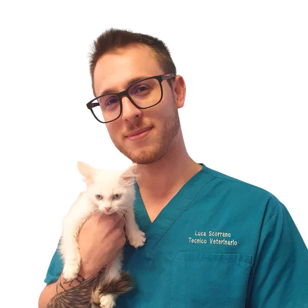 Luca Scorrano | Ca Zampa