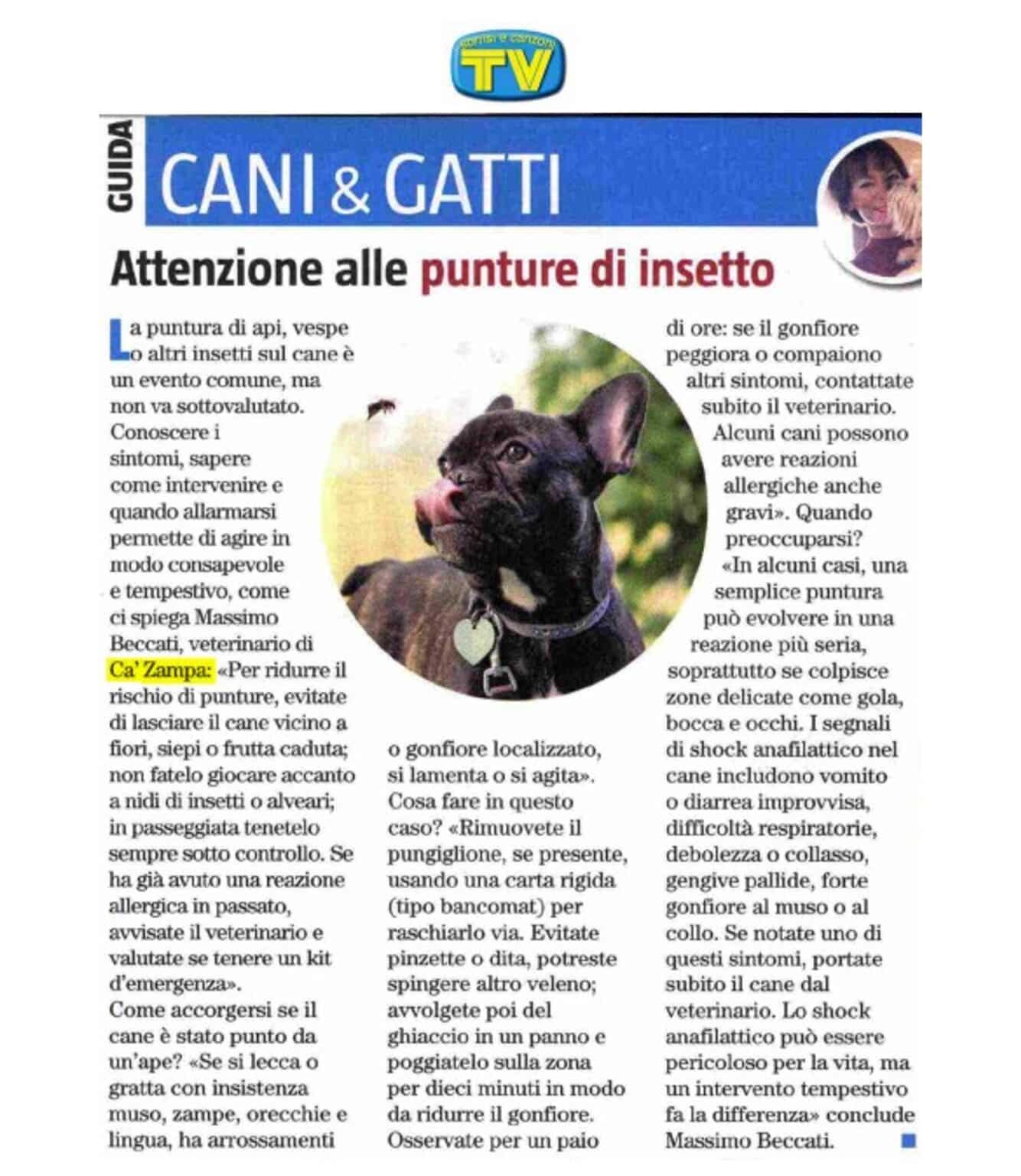 Tv Sorrisi e Canzoni: Attenzione alle Punture di Insetto | Ca Zampa
